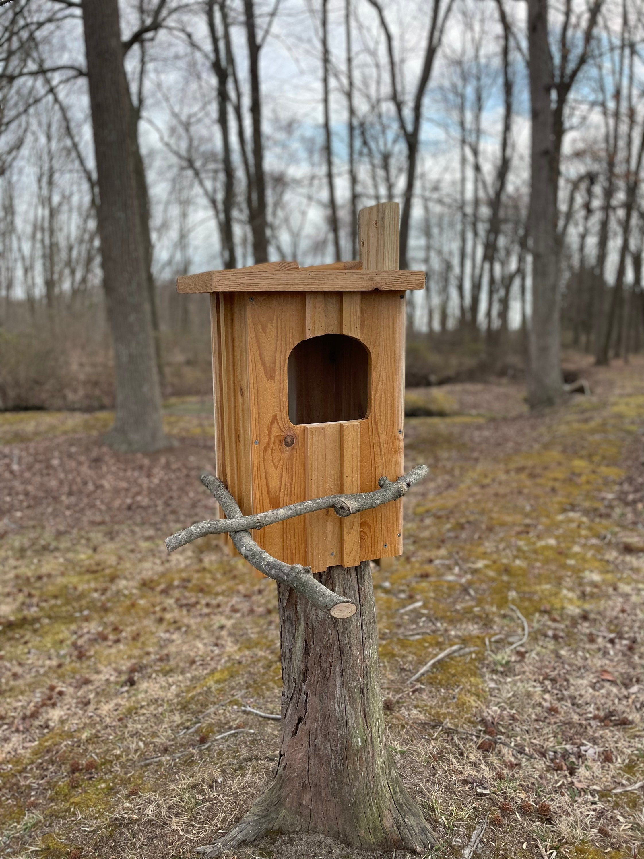 Great Horned Owl Nest Box