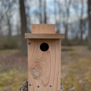 Bluebird & Tree Swallow Birdhouses - Etsy