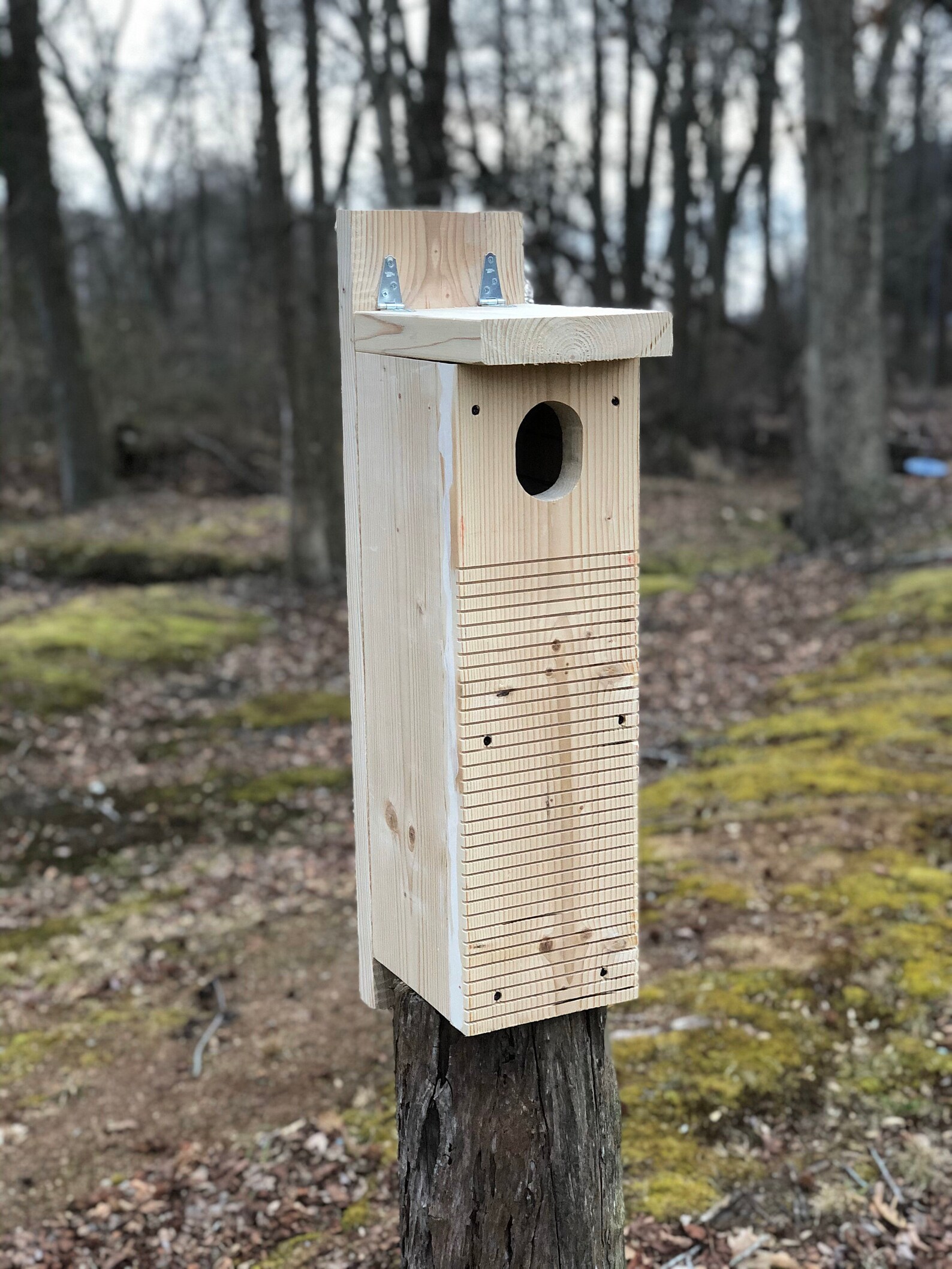 Northern Flicker Nest Box | Etsy