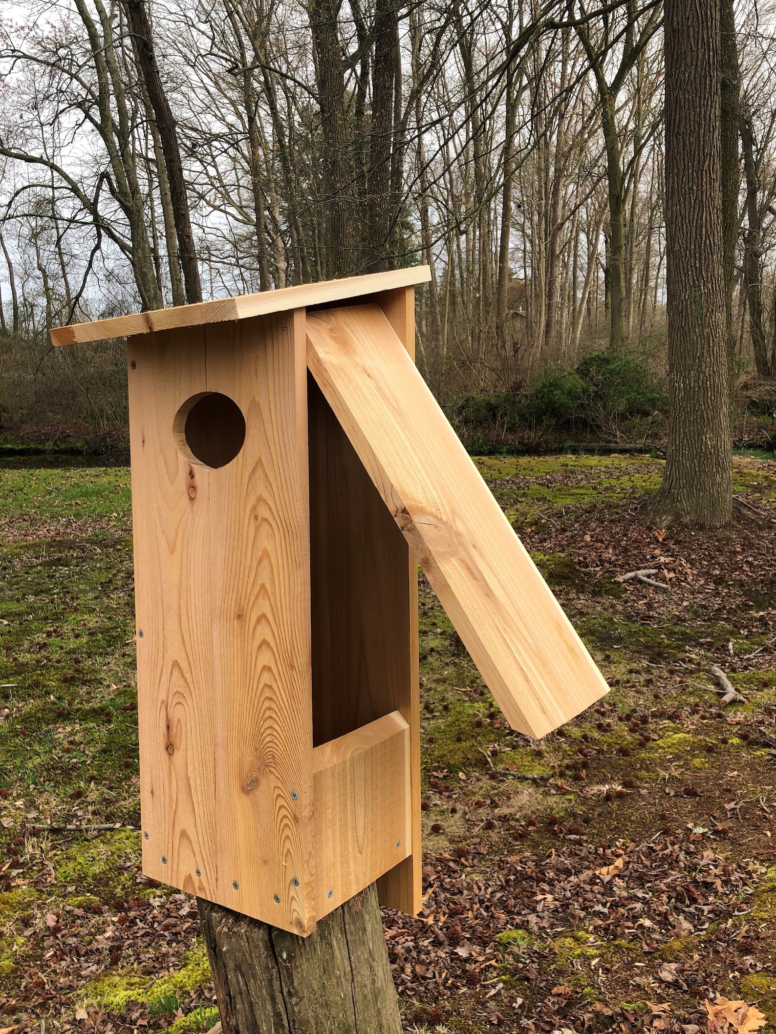 Wood Duck, Goldeneyes & Mergansers Nest Box: Cedar or PVC - Etsy
