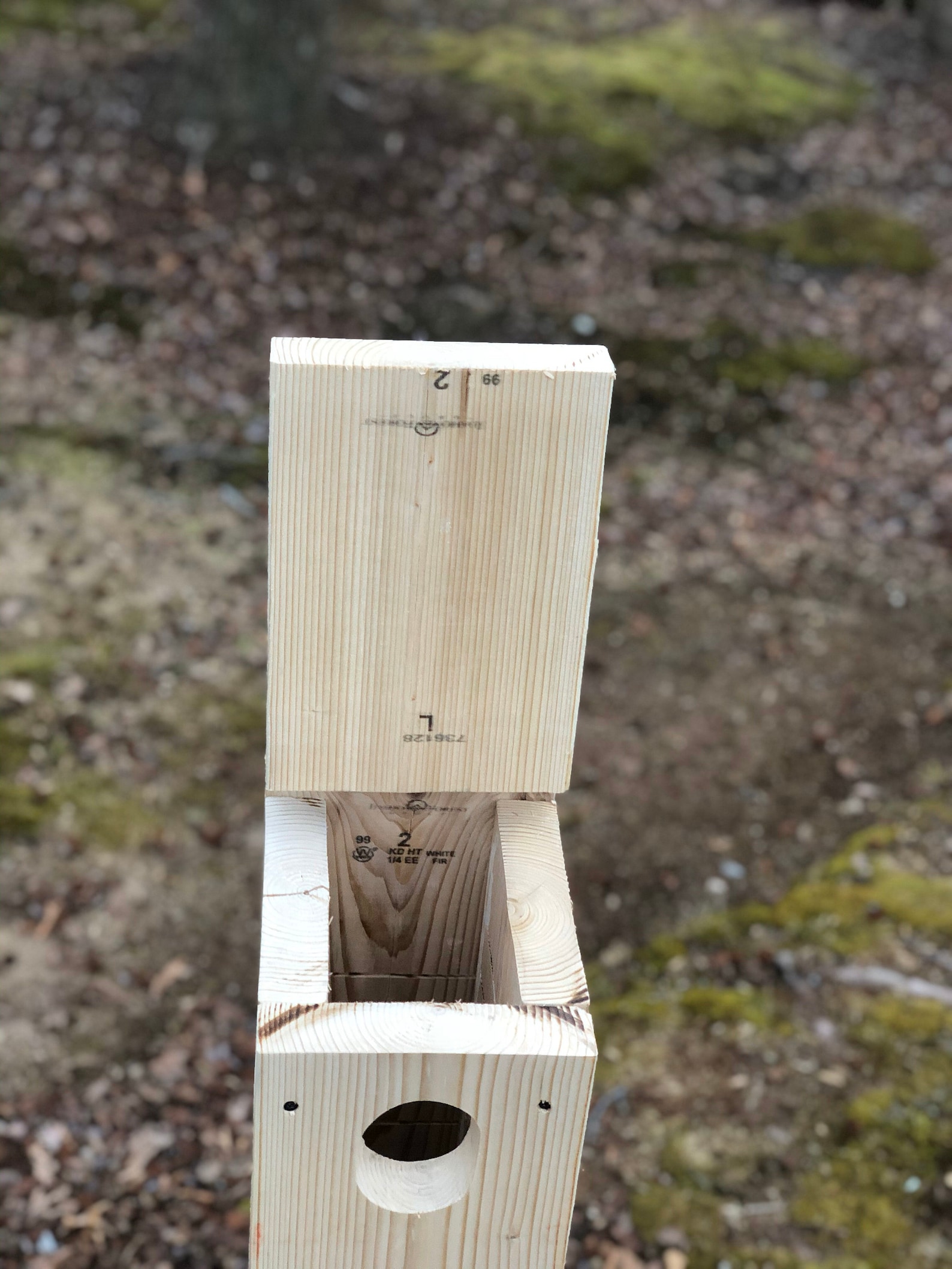Northern Flicker Nest Box Etsy