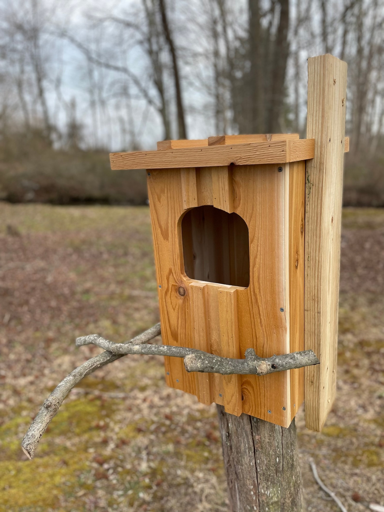 Cedar Barred Owl Nest Box - Etsy