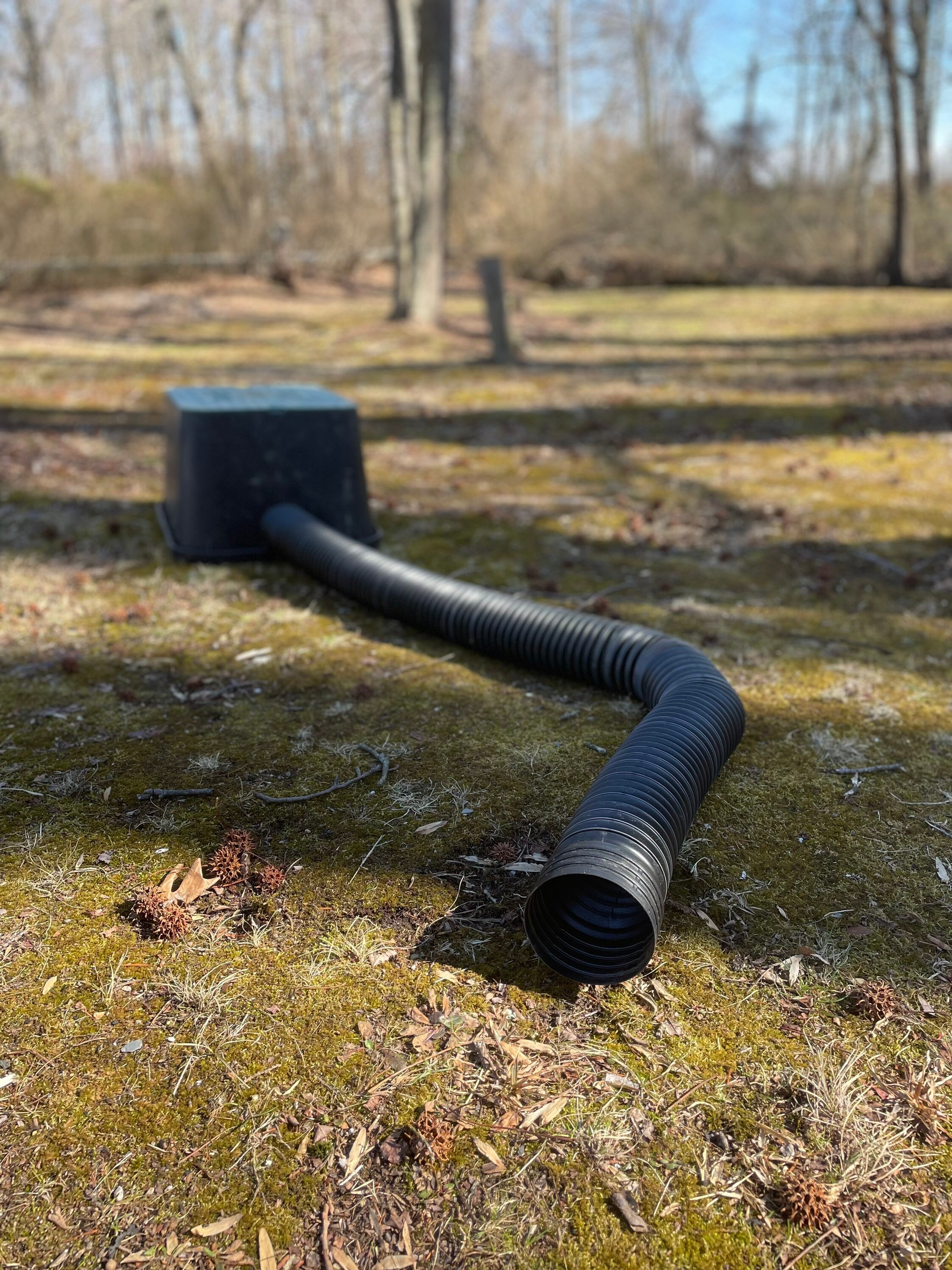 Burrowing Owl Artificial Burrow | Etsy