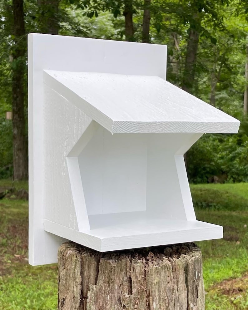 Eastern Phoebe, Barn Swallow & American Robin Nest Shelf - Etsy