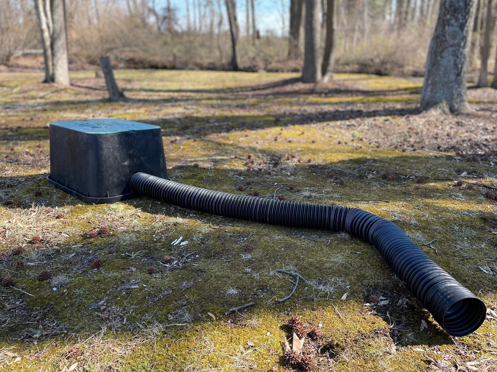 Burrowing Owl Artificial Burrow - Etsy