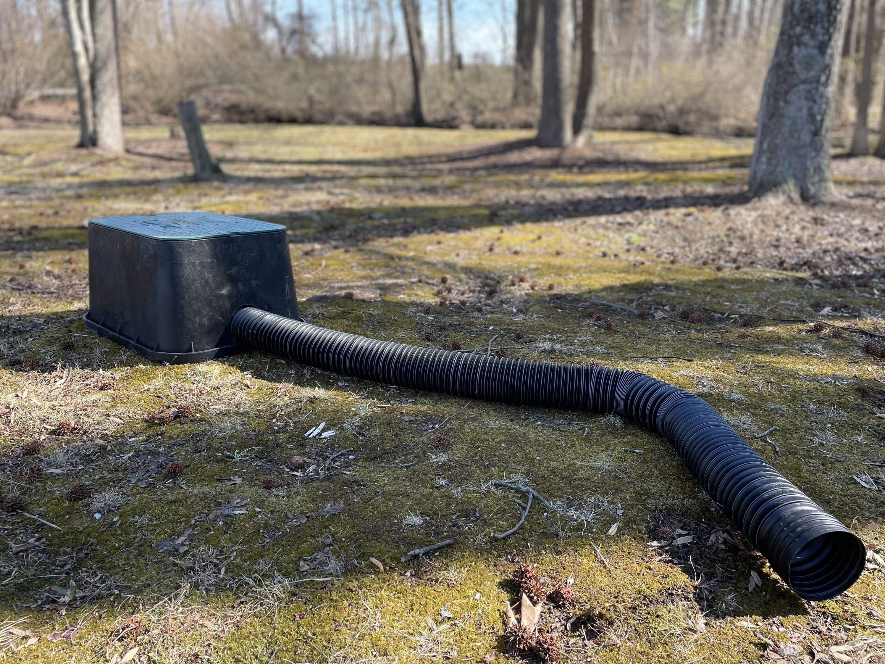 Burrowing Owl Artificial Burrow | Etsy