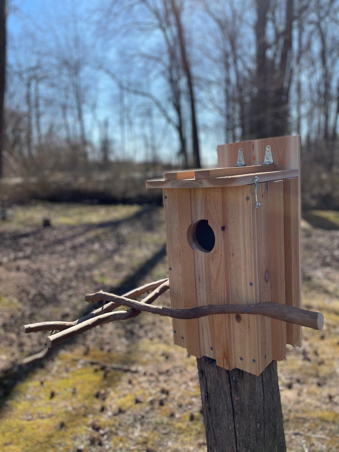 Ready to Assemble: Screech-owls Nest Box Kit - Etsy