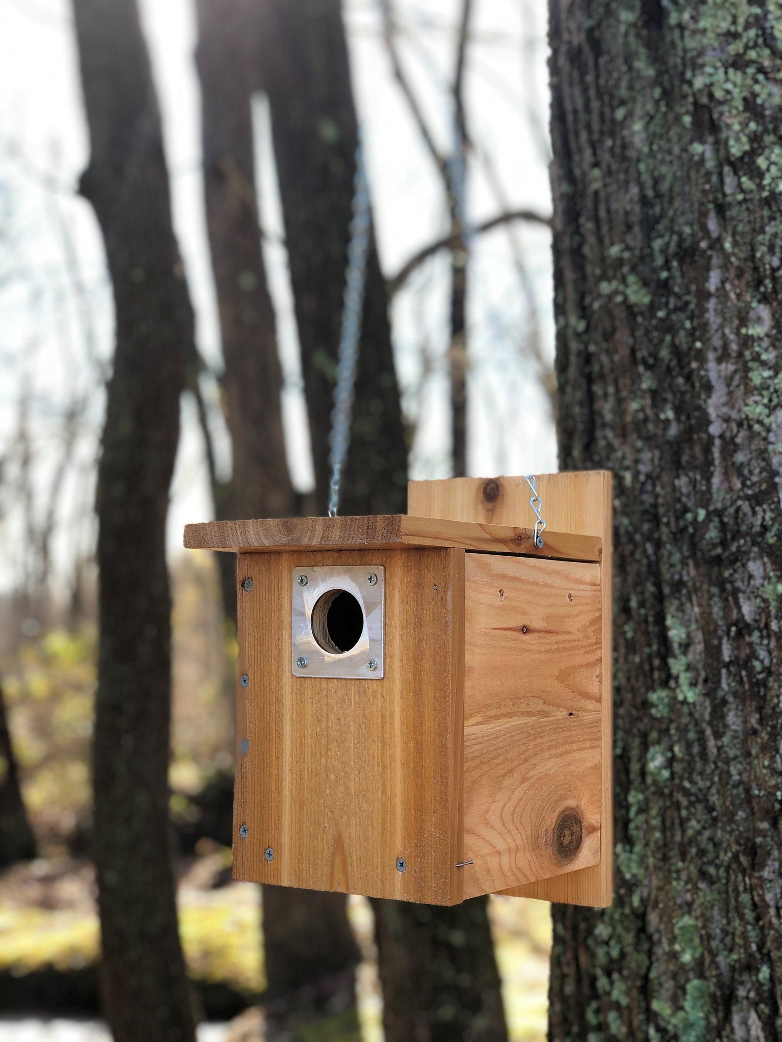 Flycatcher Nest Box - Etsy