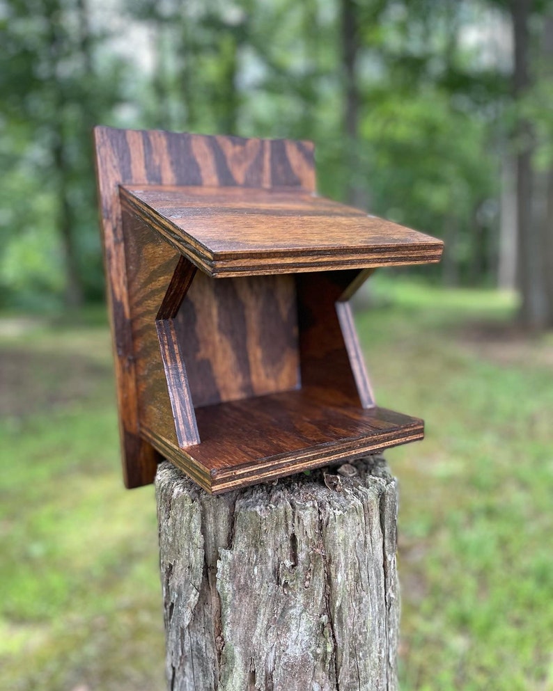 Eastern Phoebe, Barn Swallow & American Robin Nest Shelf - Etsy
