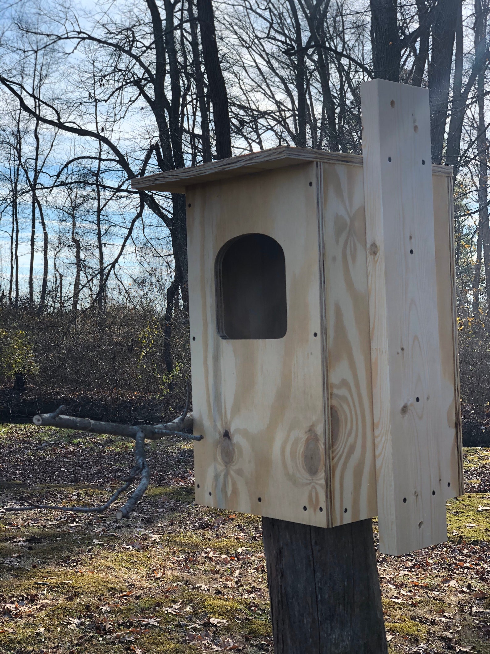 Pine Barred Owl Nest Box Custom Options Available | Etsy
