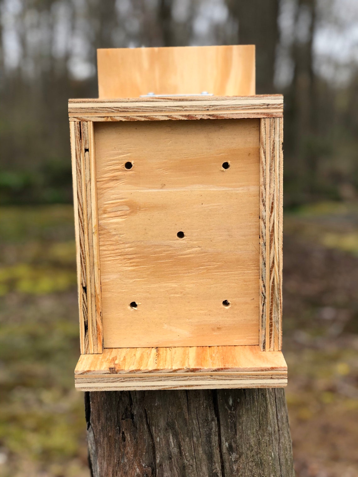 Flycatcher Nest Box | Etsy