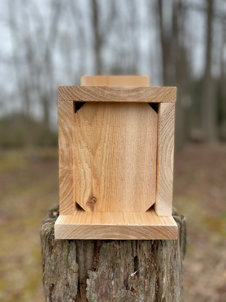 Bluebird & Tree Swallow Birdhouses - Etsy