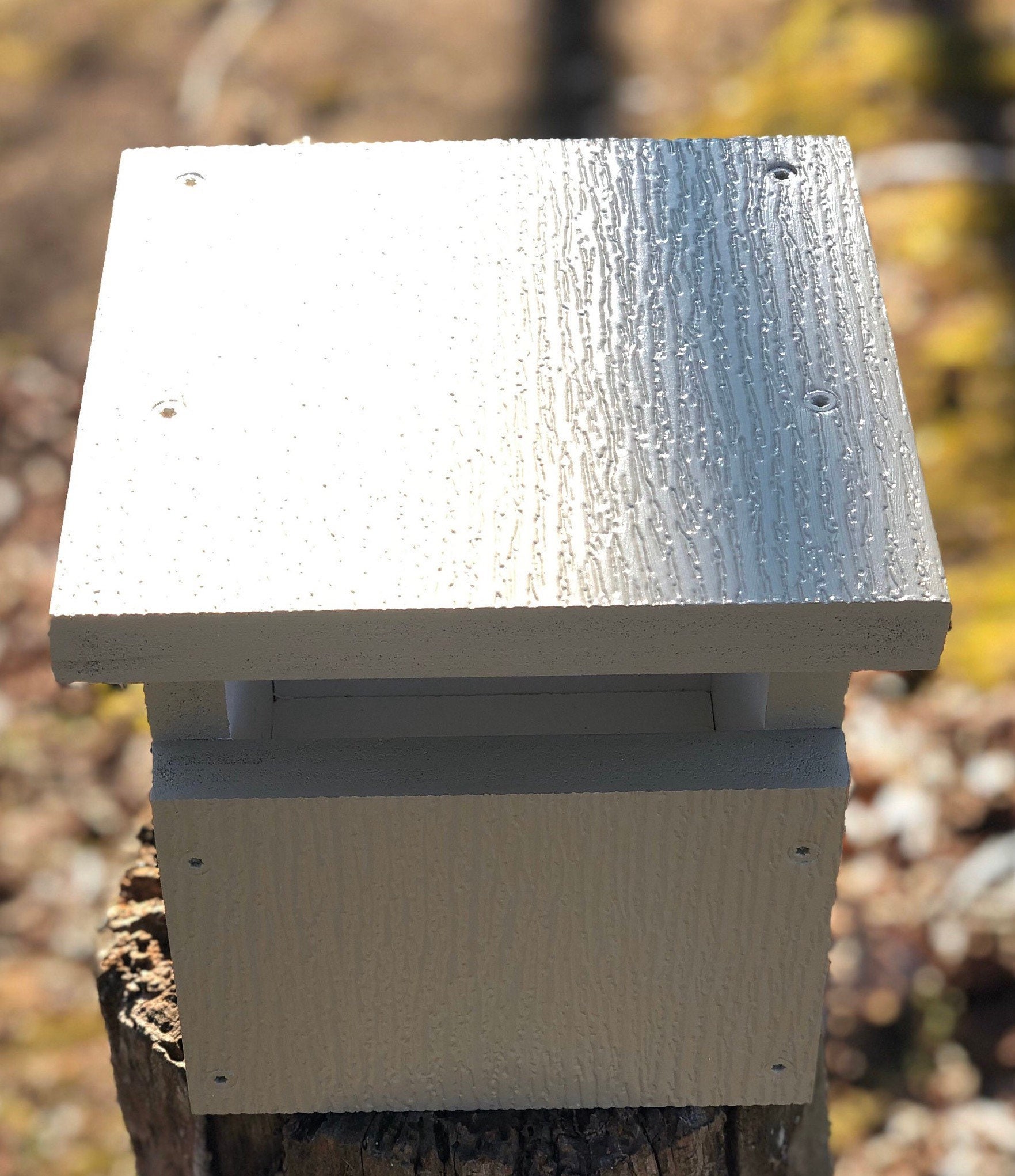 Carolina Wren Nest Box - Etsy