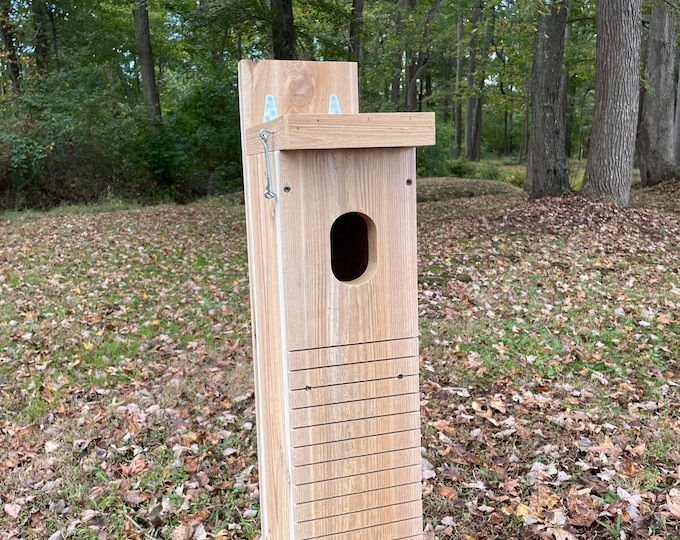 Northern Flicker Nest Box - Etsy