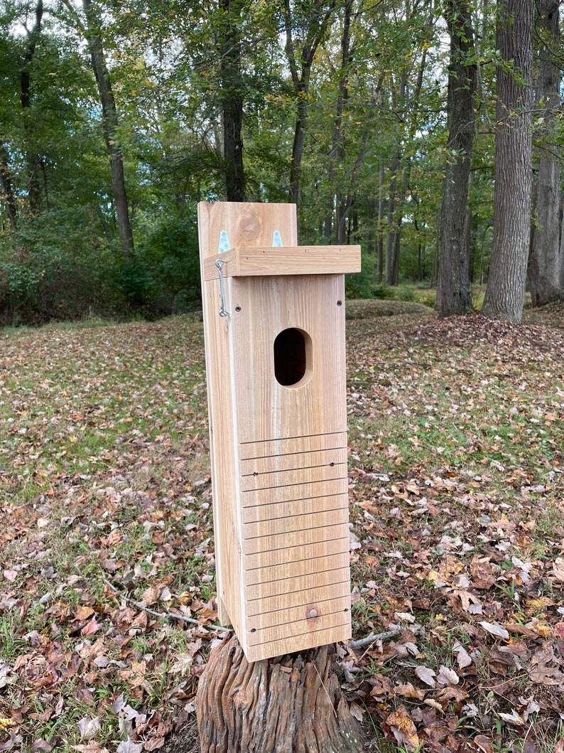 Northern Flicker Nest Box - Etsy