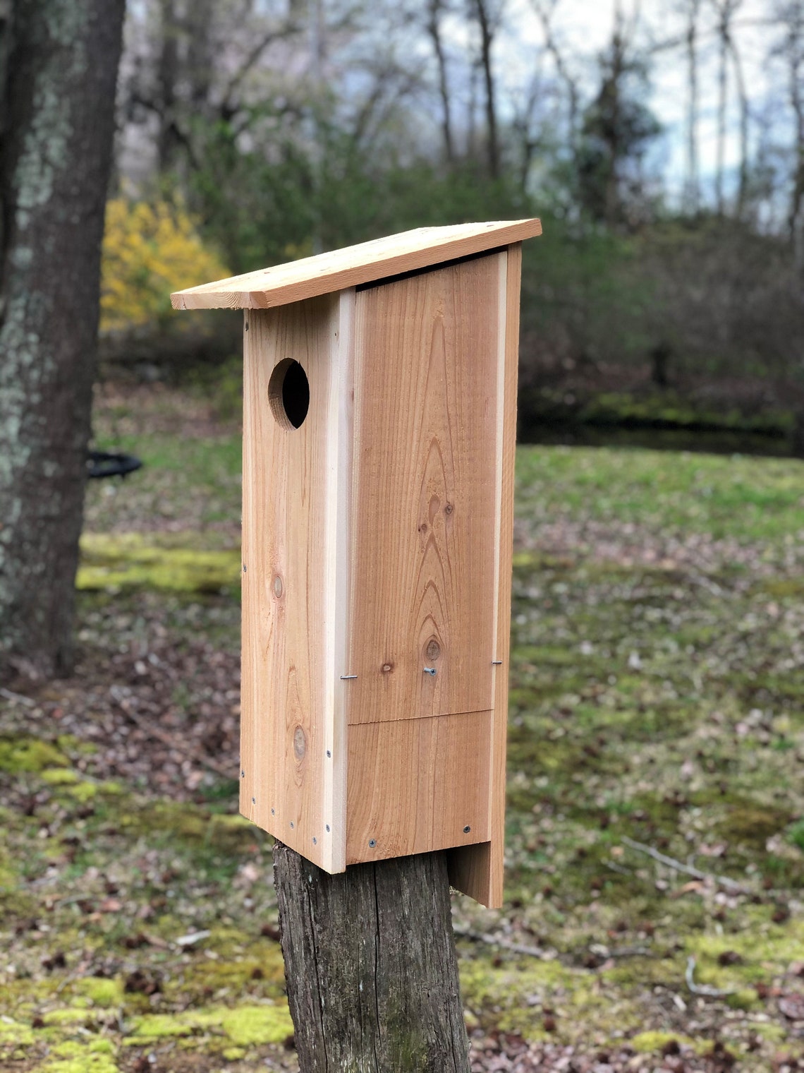 Wood Duck Nest Box With Rot Free Floor - Etsy