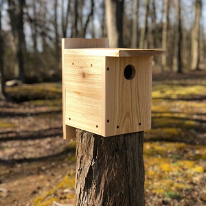 Flycatcher Nest Box - Etsy