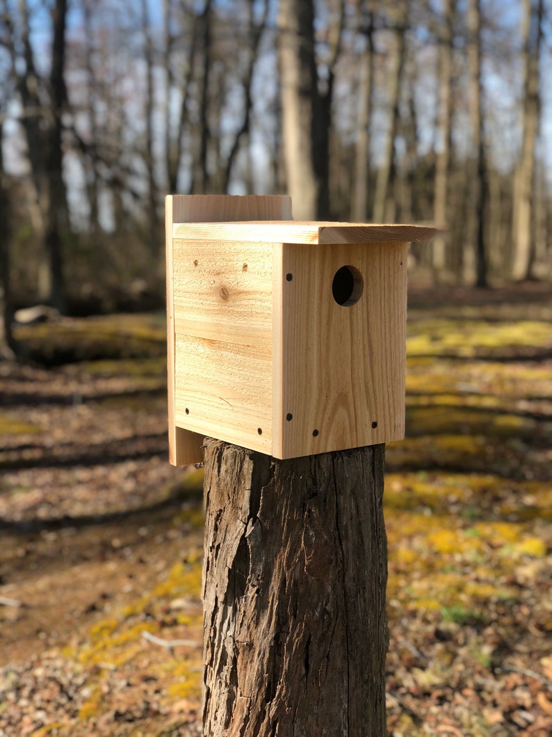 Flycatcher Nest Box - Etsy