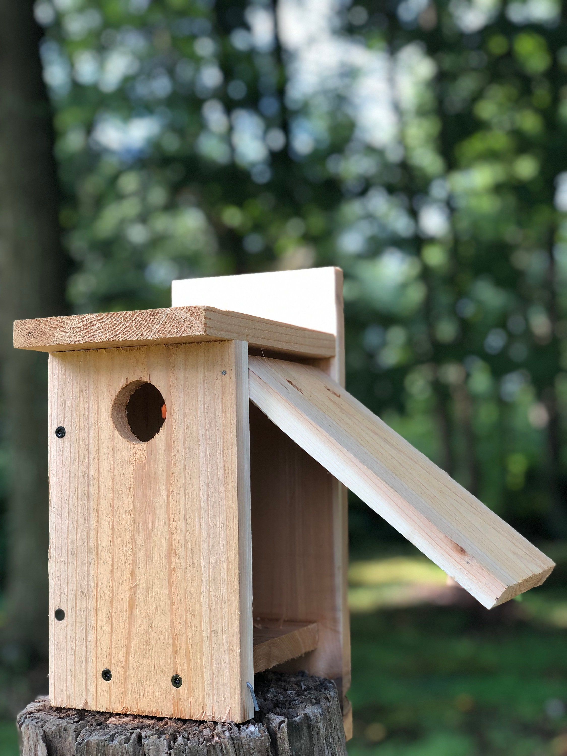 Bluebird & Tree Swallow Birdhouses | Etsy