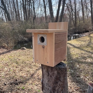 Flycatcher Nest Box - Etsy