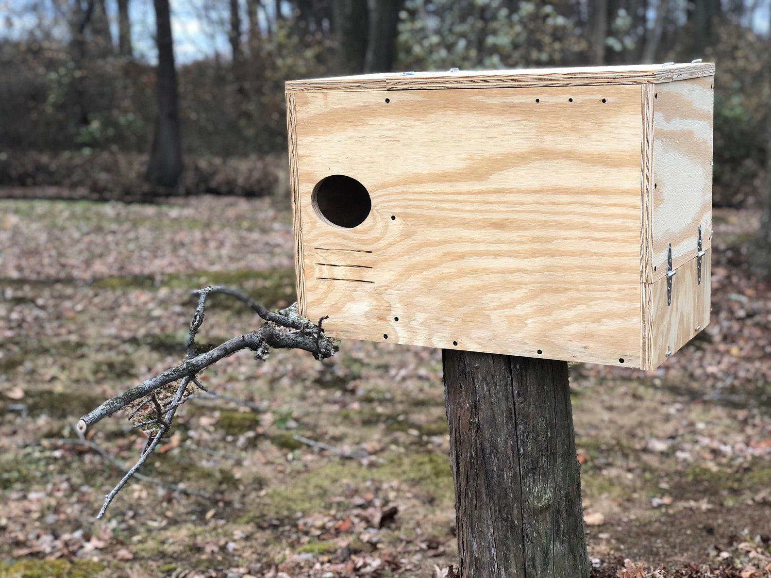 Barn Owl Nest Box | Etsy