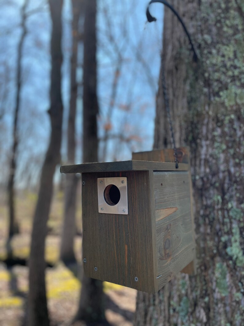 Flycatcher Nest Box - Etsy