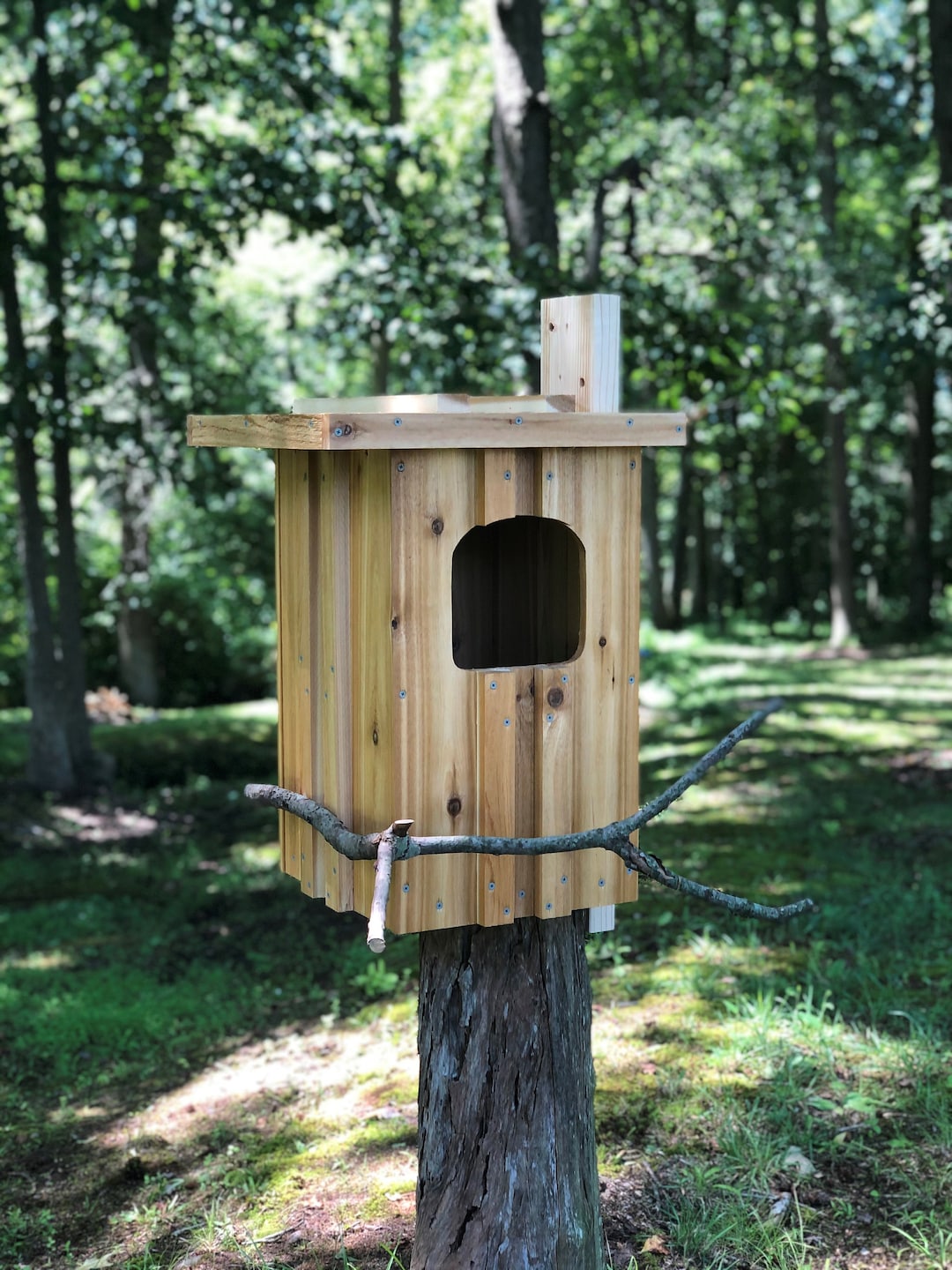 Cedar Barred Owl Nest Box W/sealer Application & Mounting Hardware - Etsy