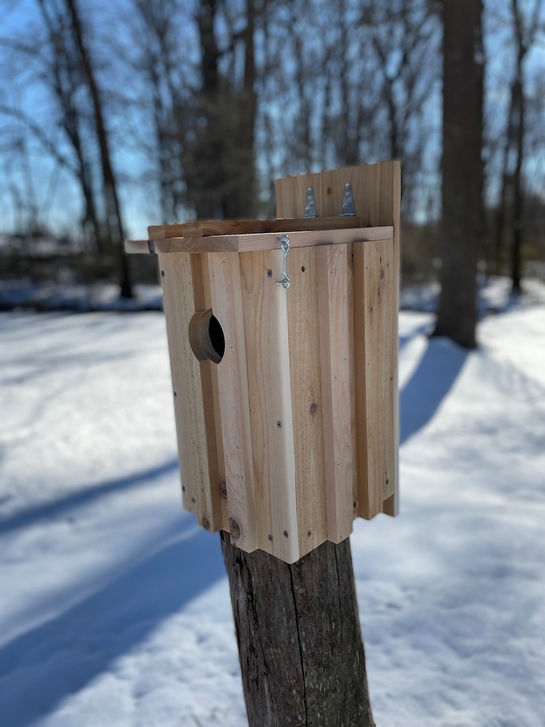 American Kestrel Nest Box - Etsy