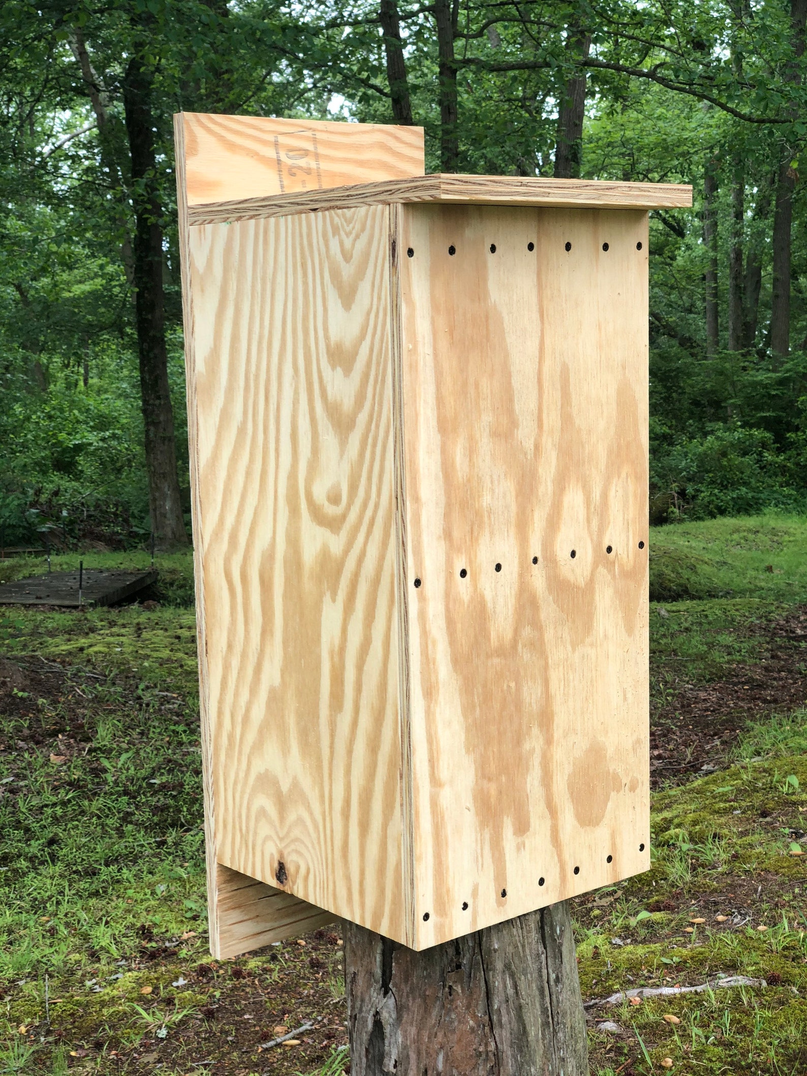 Johnson 6 Chamber Bat Roost Fully Assembled and Kits | Etsy