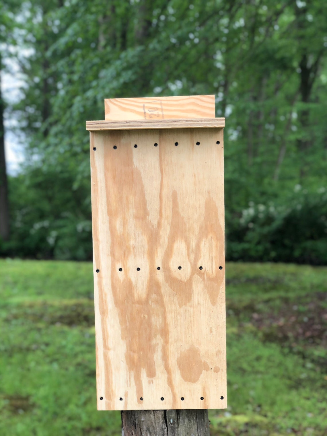 Johnson 6 Chamber Bat Roost Fully Assembled and Kits | Etsy