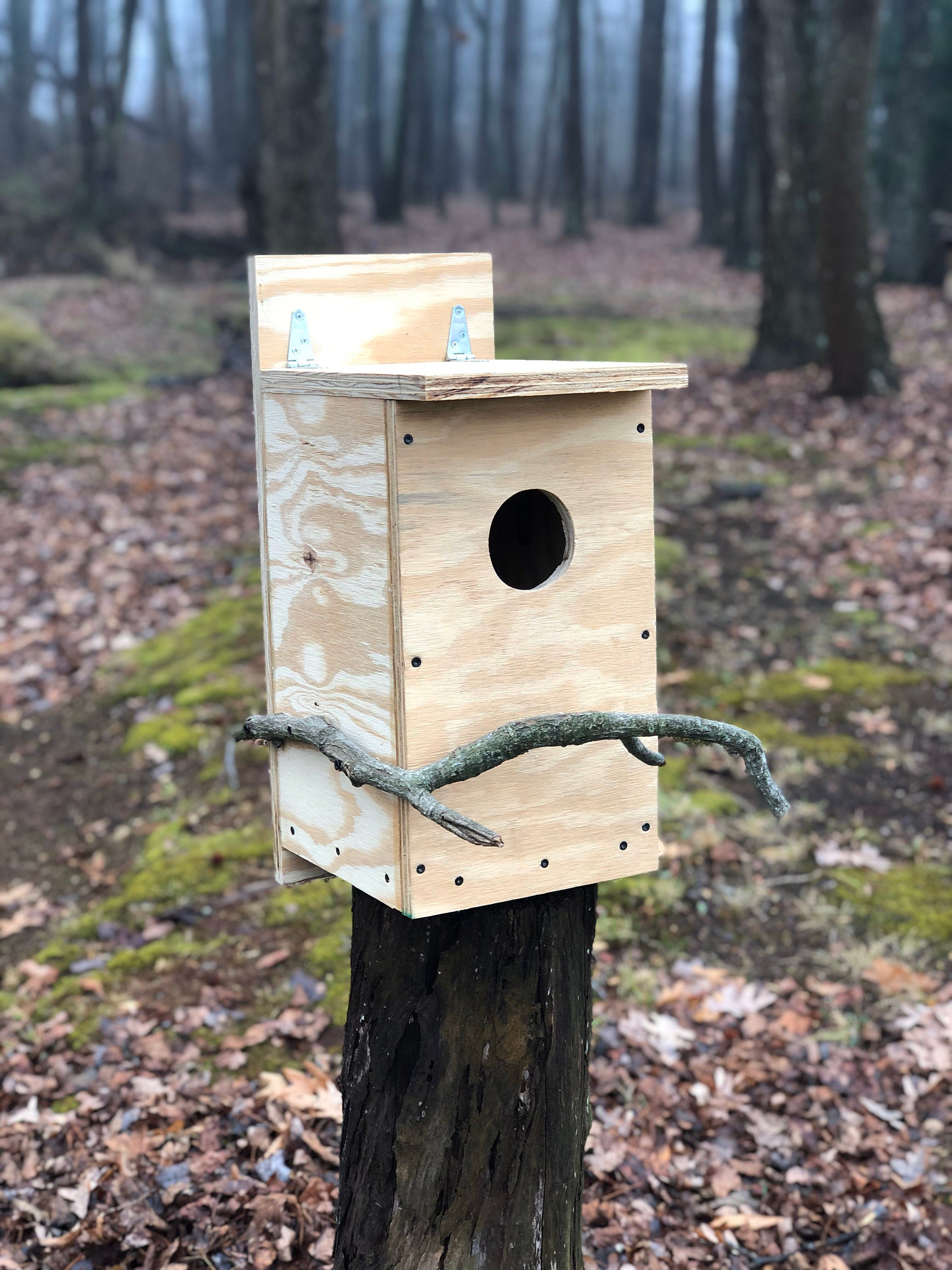 Screech-owls Nest Box eastern & Western - Etsy