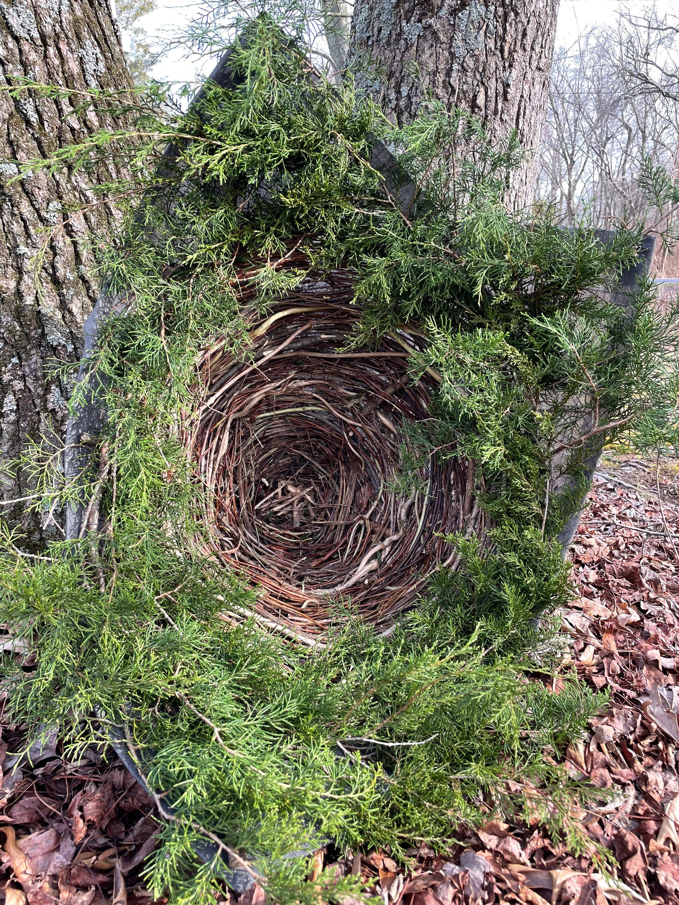 Handcrafted Owl Nest Cone – Great Horned & Gray Owls, Open Cavity - Etsy
