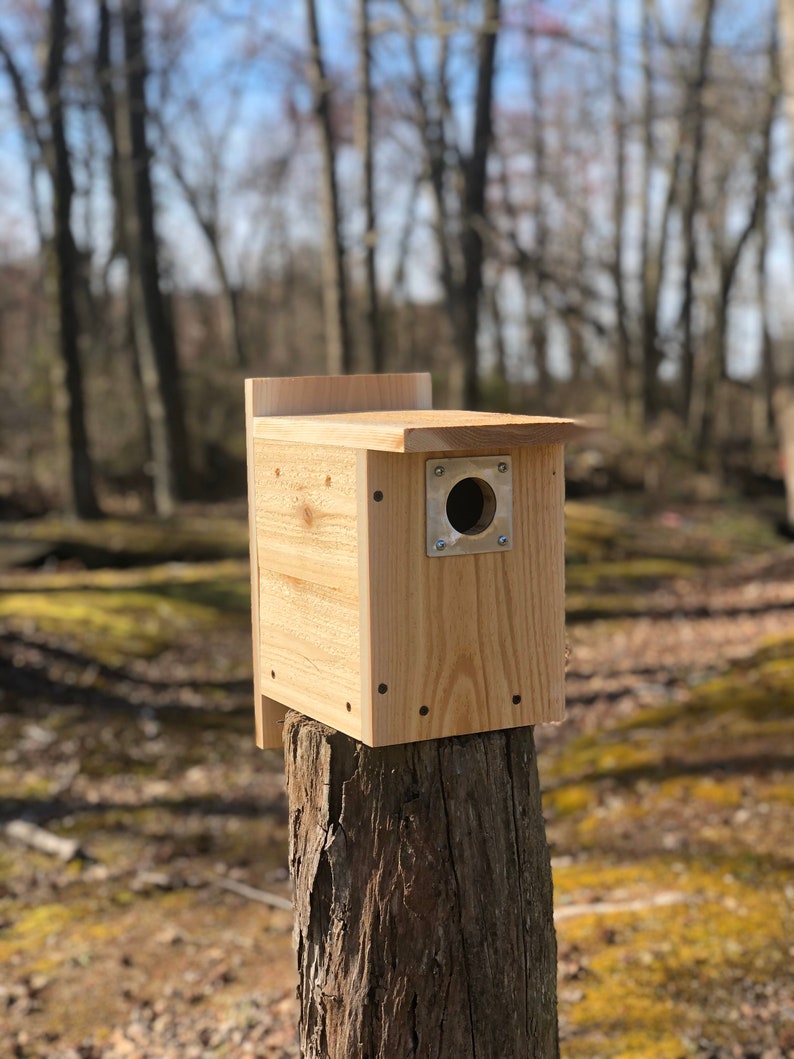 Flycatcher Nest Box - Etsy