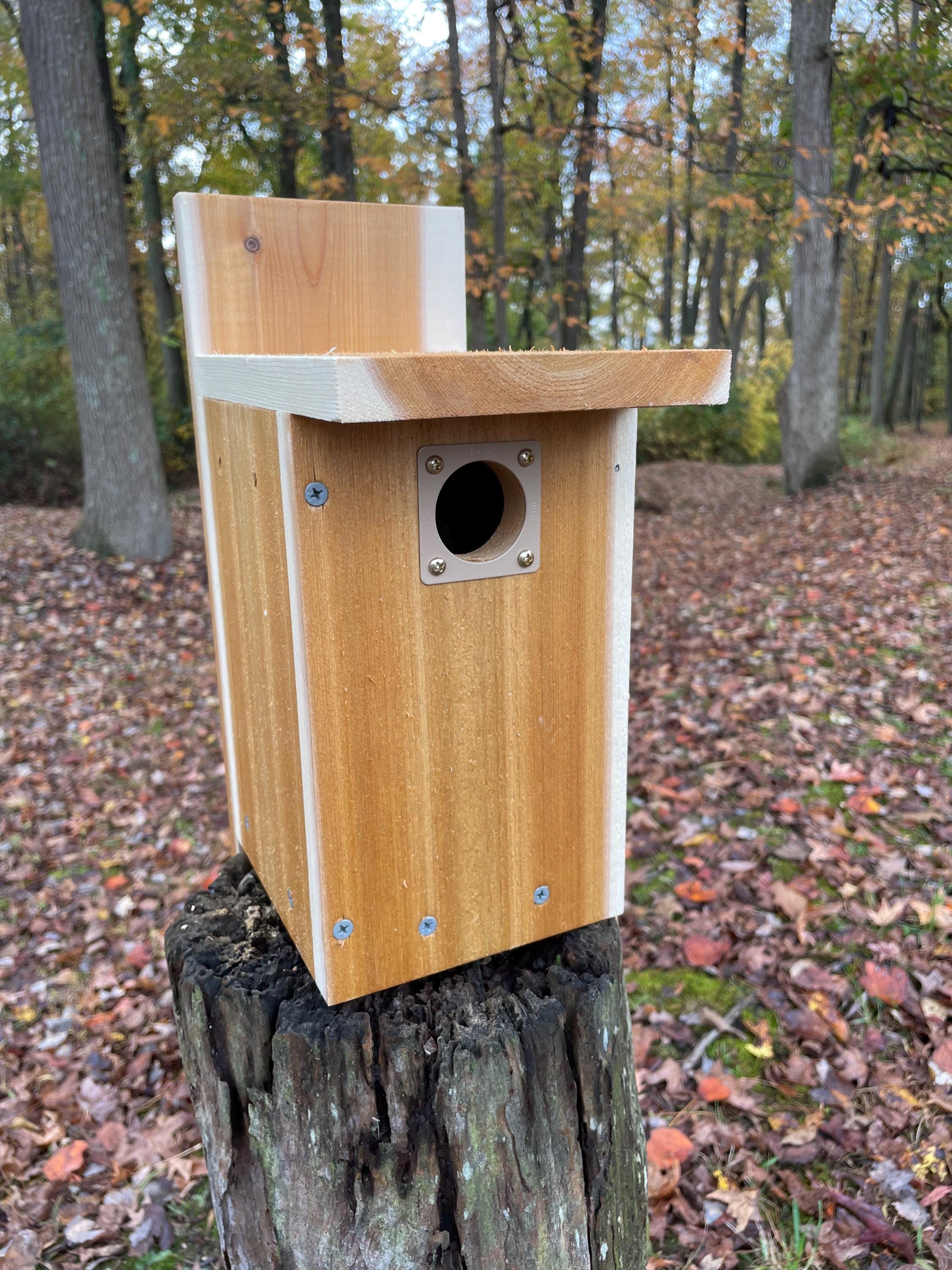 Bluebird & Tree Swallow Birdhouses - Etsy