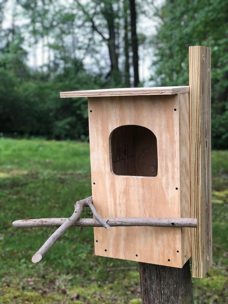 Pine Barred Owl Nest Box * Custom Options Available * - Etsy
