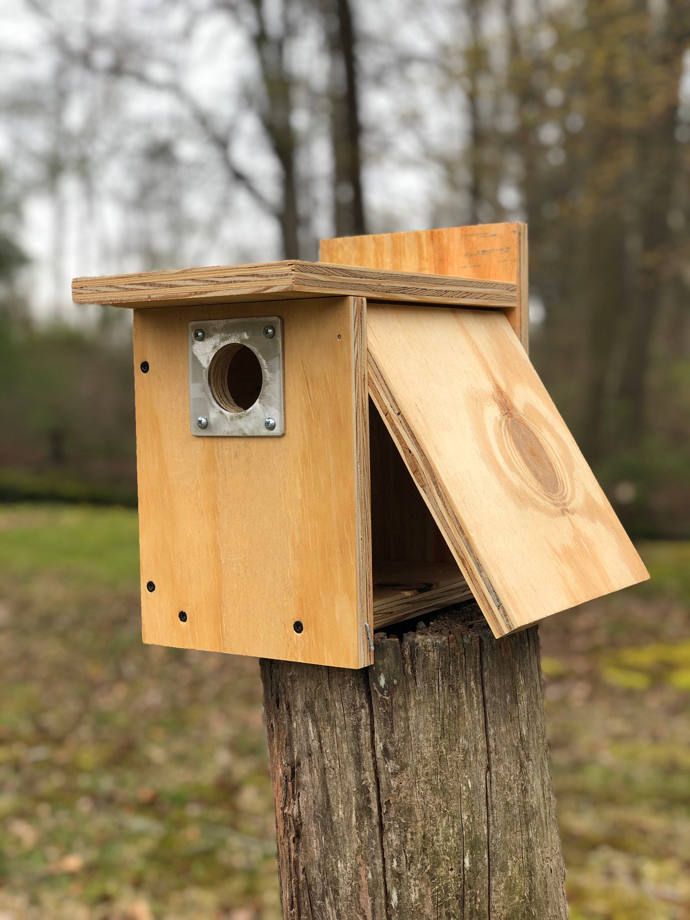 Flycatcher Nest Box | Etsy