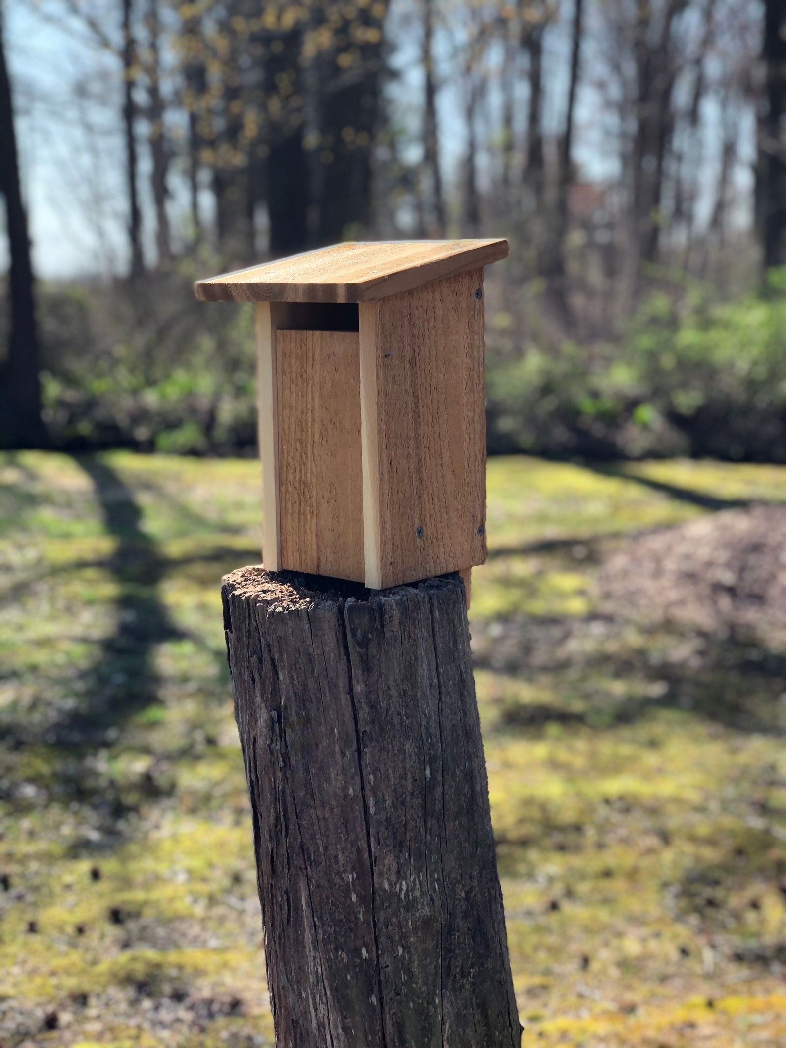 Eastern & Western Bluebird DANDR Slot Birdhouse - Etsy