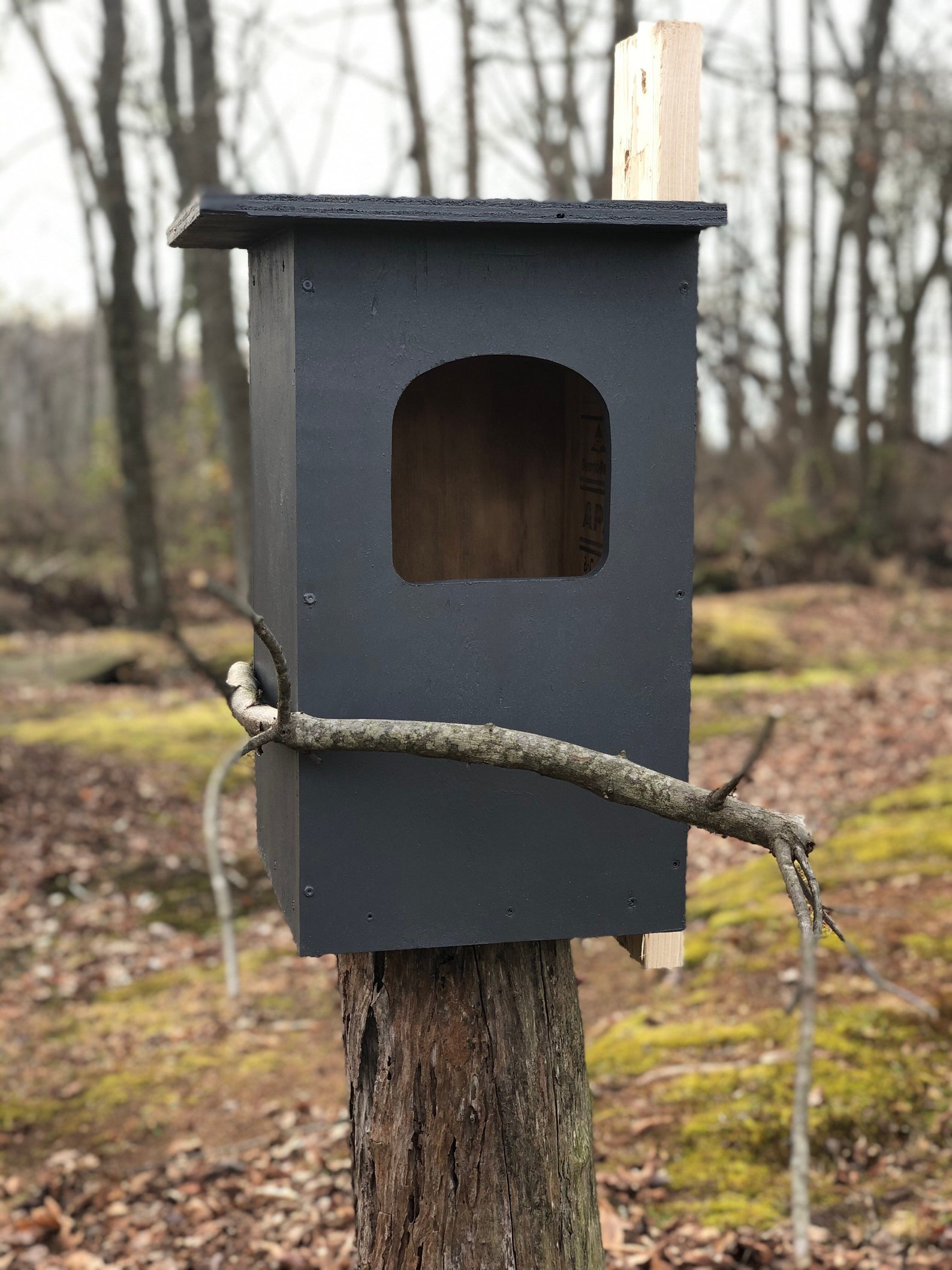 Pine Barred Owl Nest Box Custom Options Available - Etsy