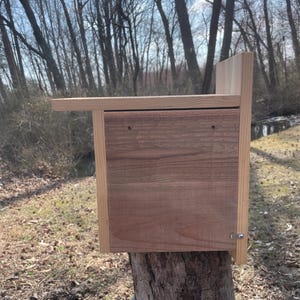 Flycatcher Nest Box - Etsy