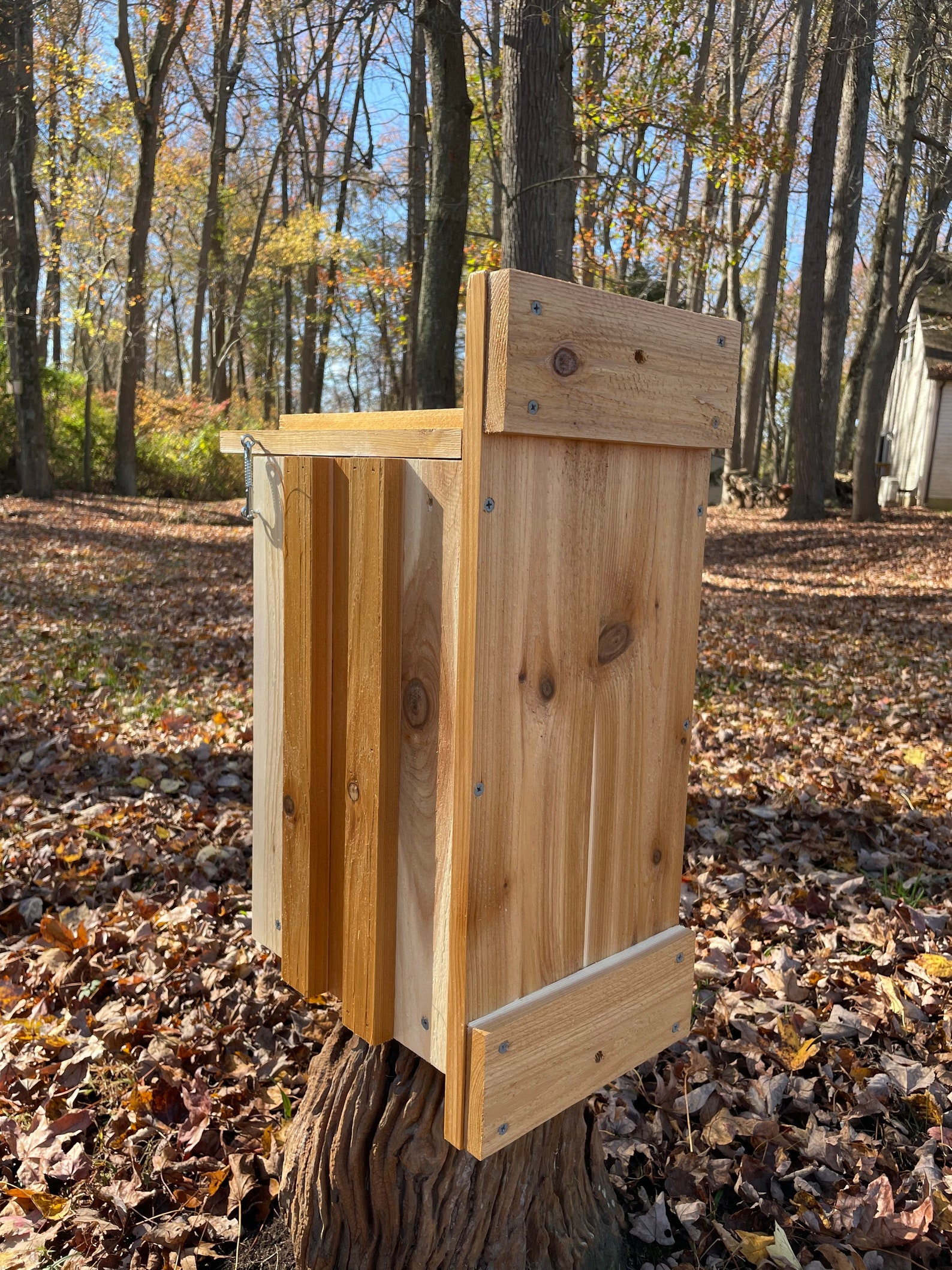 Ready to Assemble: Screech-owls Nest Box Kit - Etsy