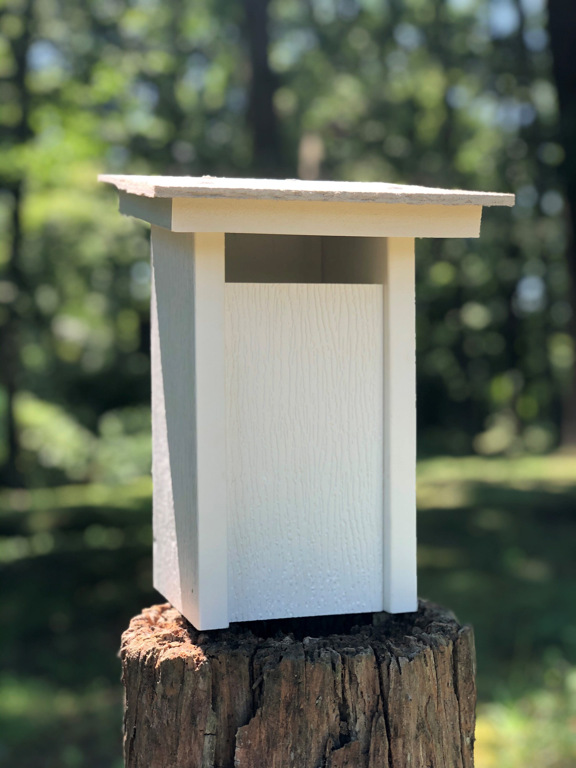 Eastern & Western Bluebird DANDR Slot Birdhouse | Etsy