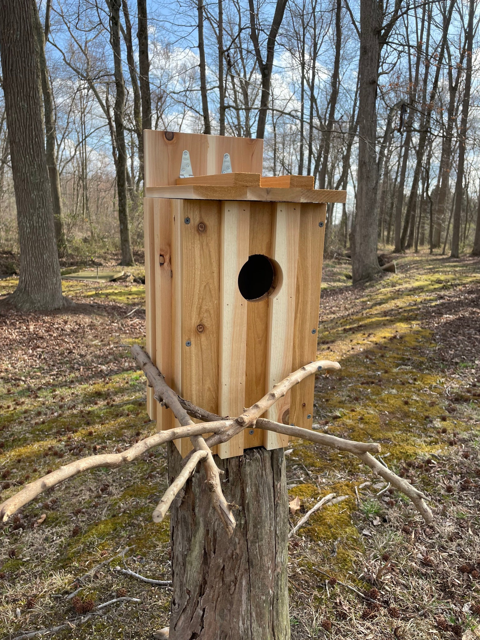 Ready to Assemble: Screech-owls Nest Box Kit - Etsy