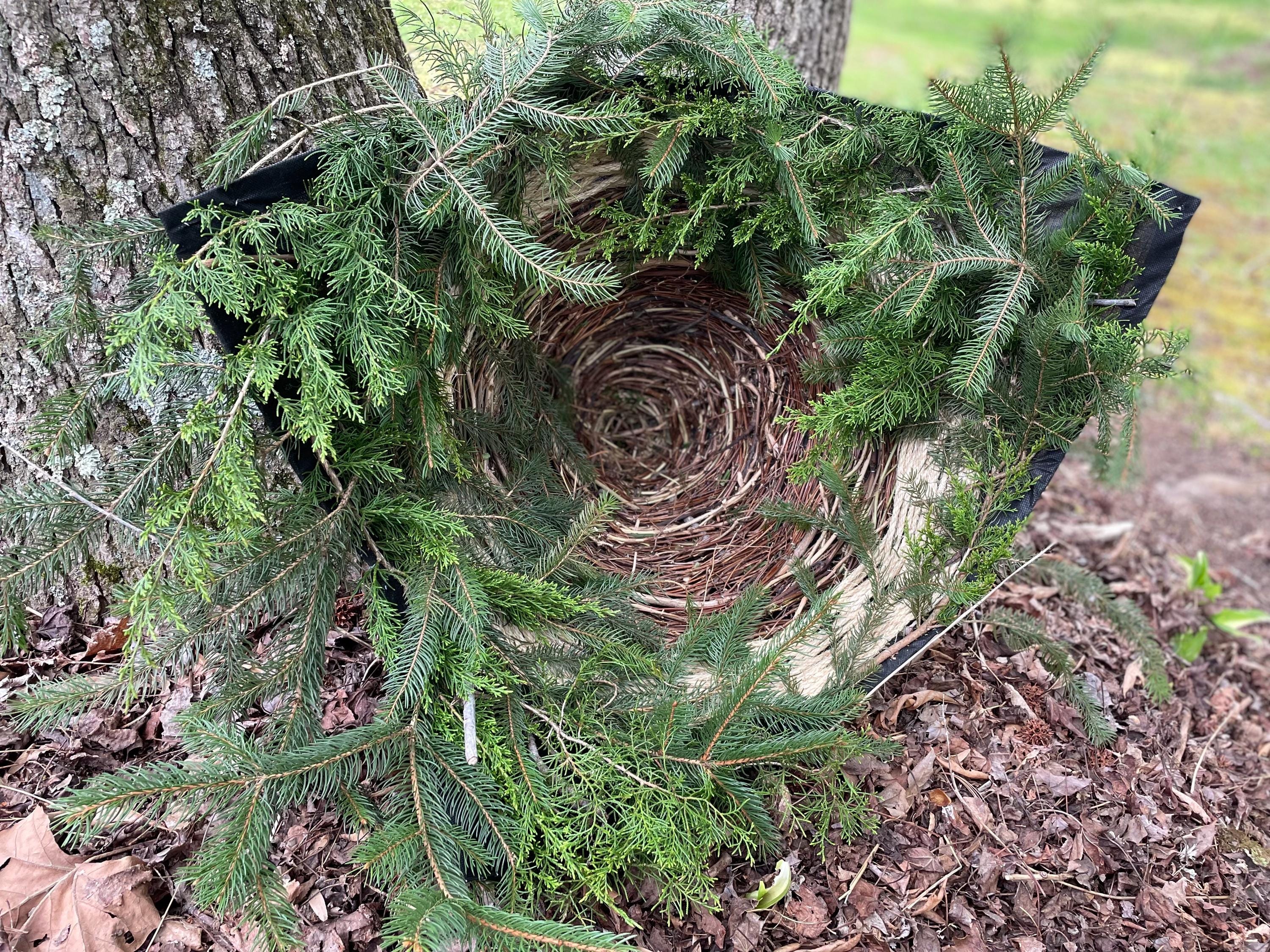 Handcrafted Owl Nest Cone – Great Horned & Gray Owls, Open Cavity - Etsy
