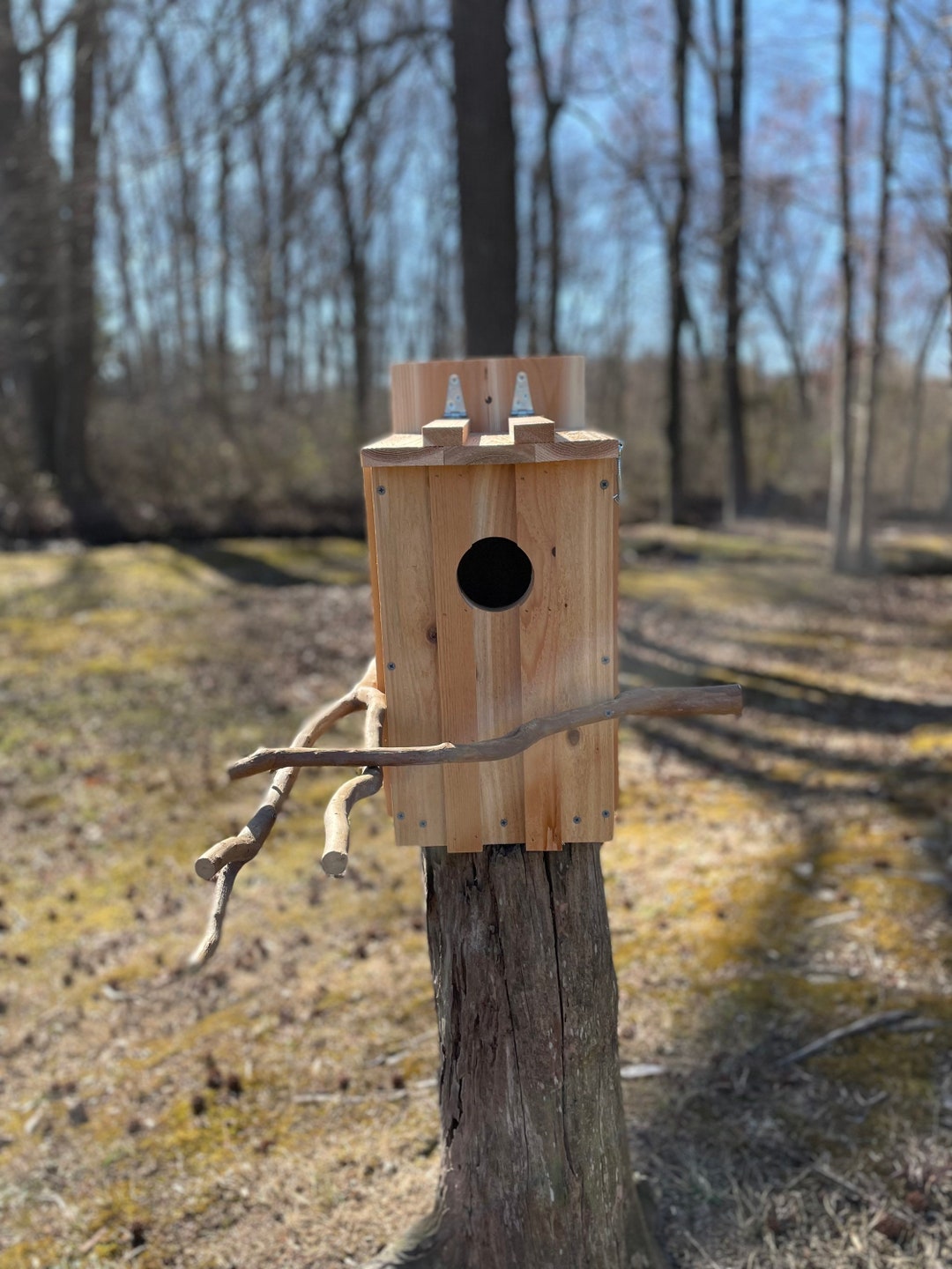Screech-owls Nest Box (eastern & Western) - Etsy