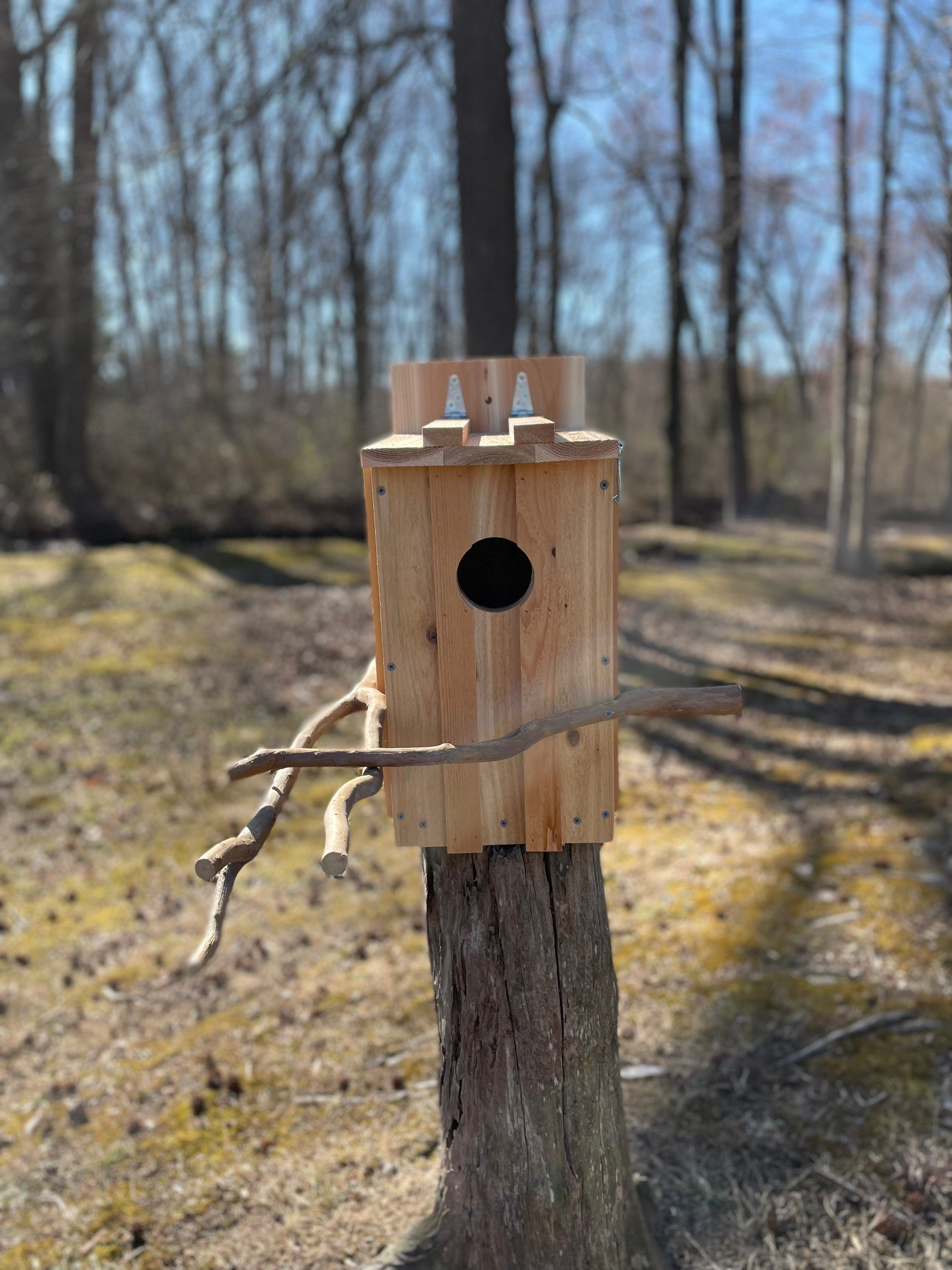Screech-owls Nest Box eastern & Western - Etsy