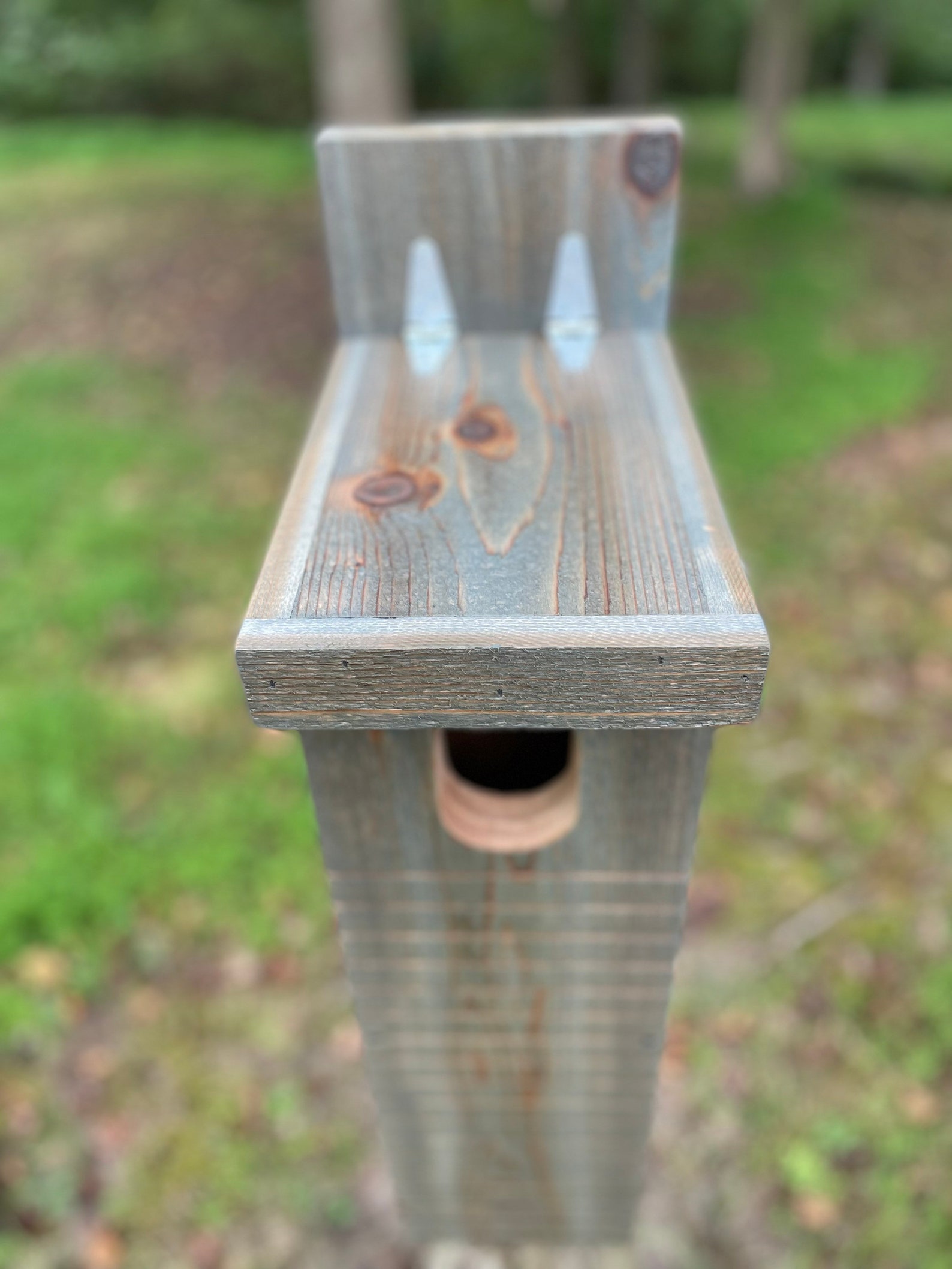 Northern Flicker Nest Box - Etsy