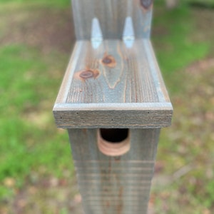 Northern Flicker Nest Box - Etsy