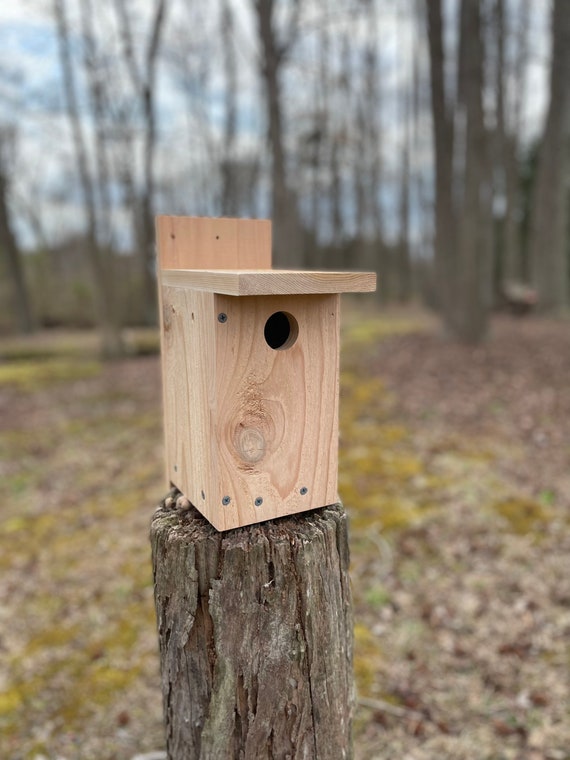 Bluebird & Tree Swallow Birdhouses - Etsy