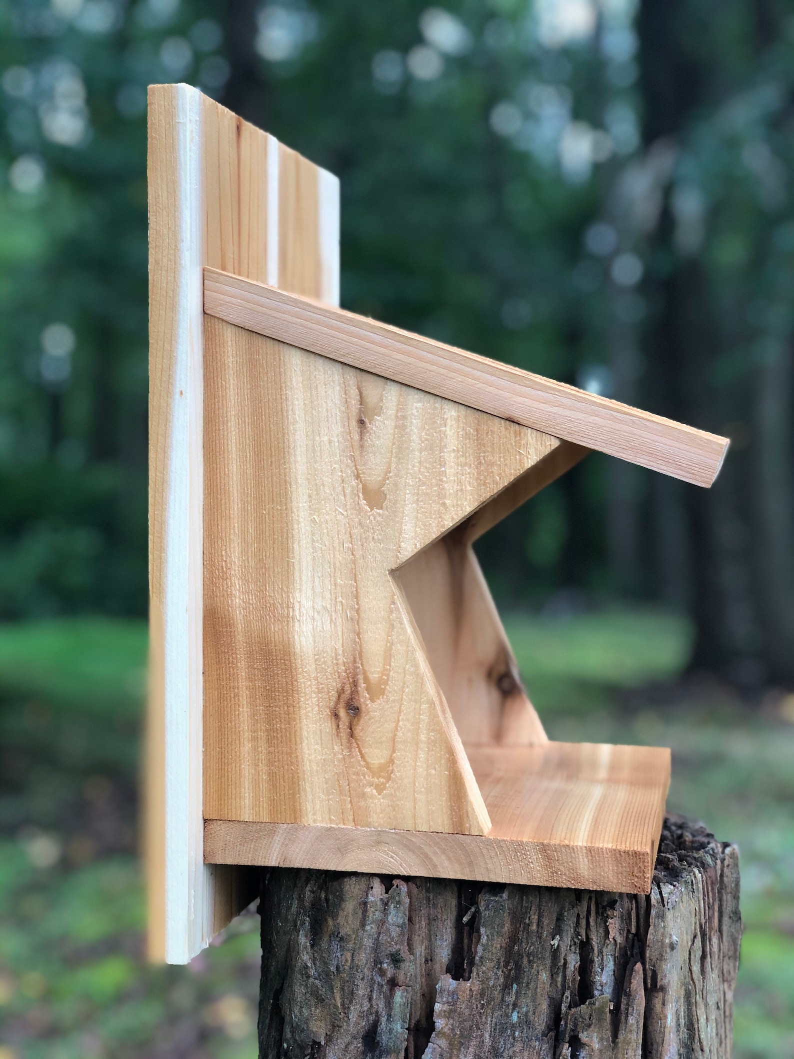 Eastern Phoebe Barn Swallow & American Robin Nest Shelf | Etsy