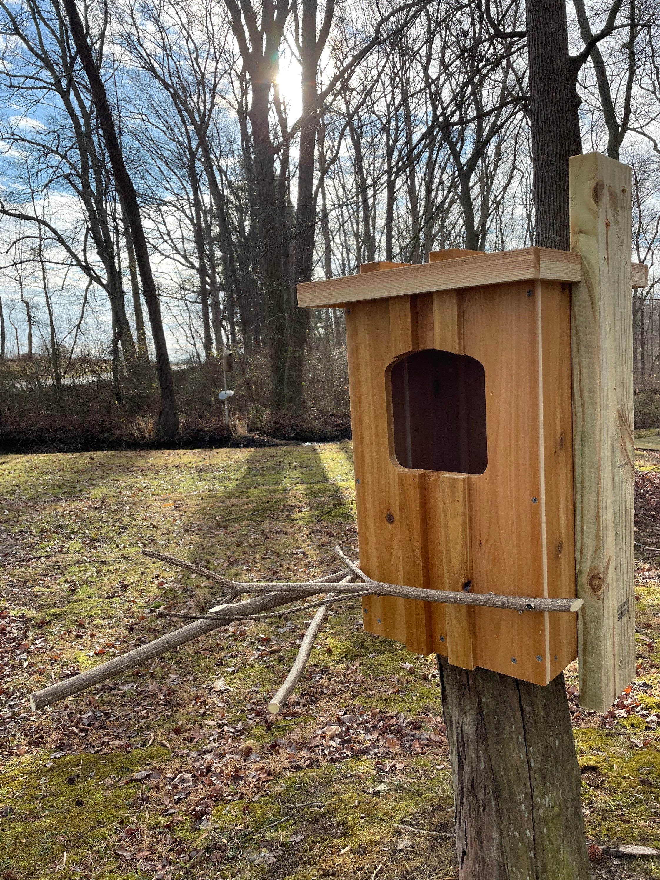 Barred Owl Nest Box